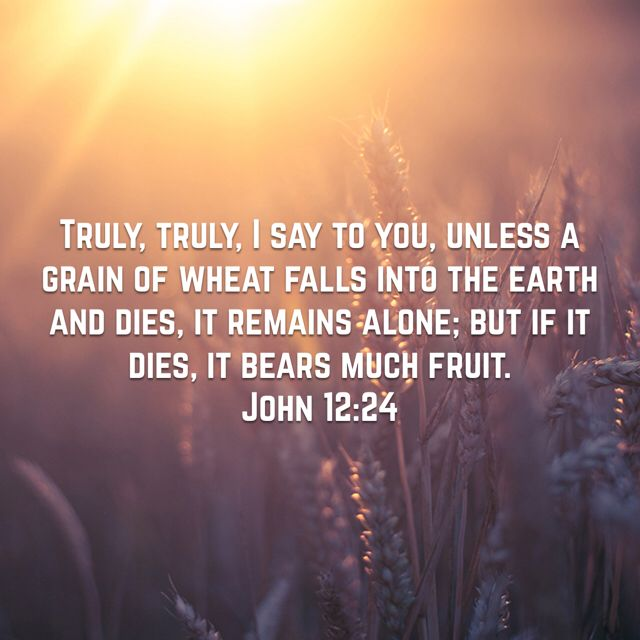 There Is No Life If There Is No Death – Reflecting Him