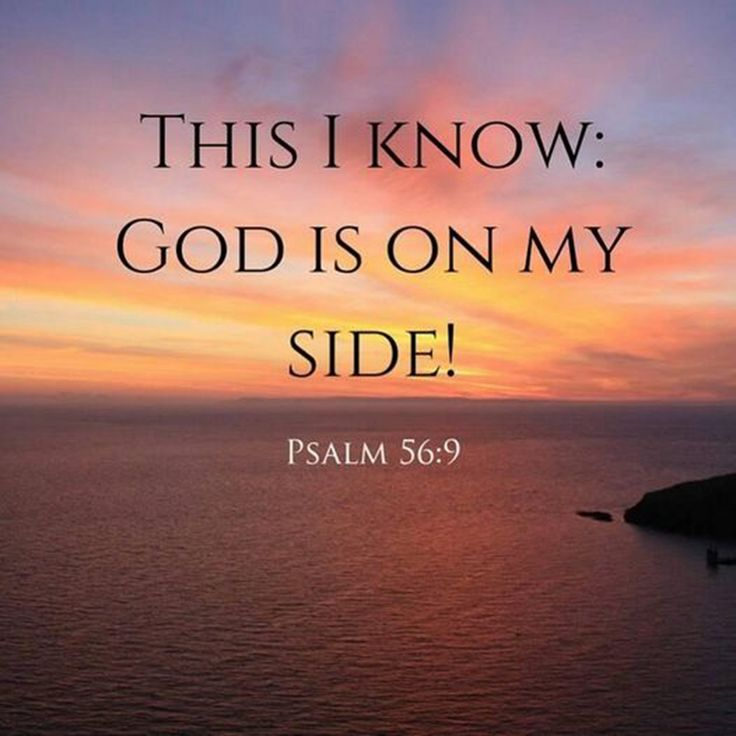 Draw Strength From Those Who Love Him As You Do – Reflecting Him